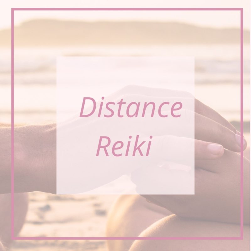 Shop - Little Wing Designs